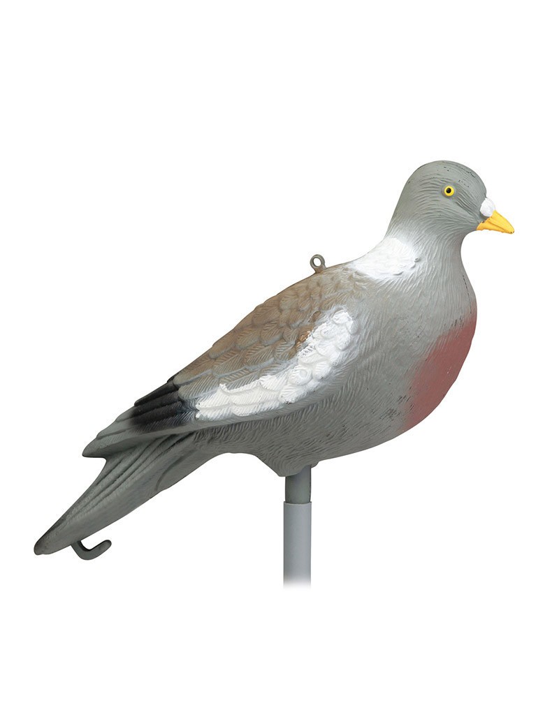 FORMES PIGEON SANS PATTE STEPLAND